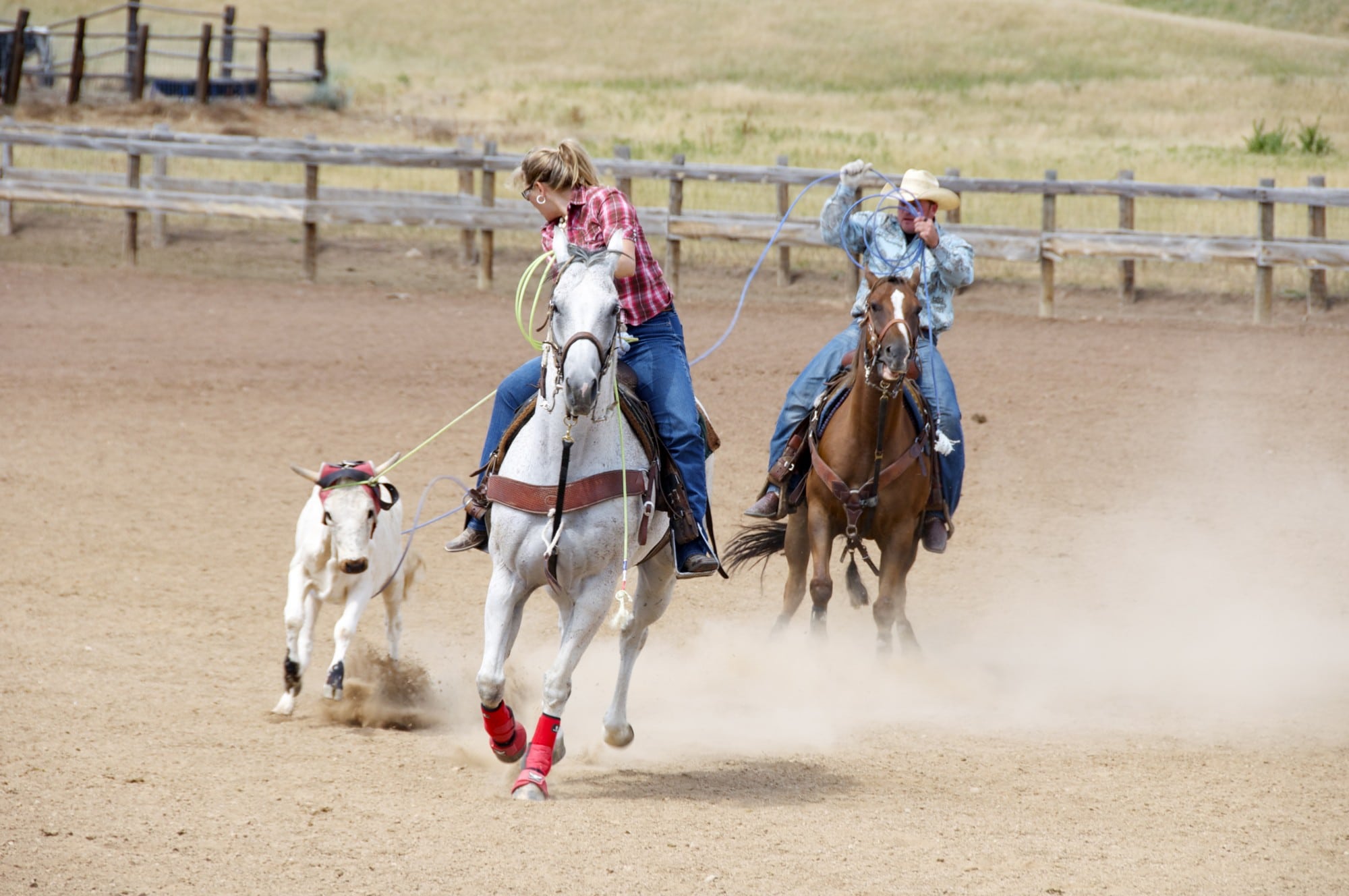 Bob Wulff Memorial Roping - Eatons' Ranch