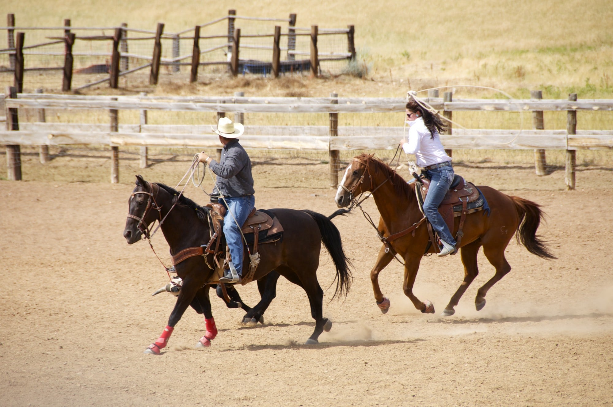 Bob Wulff Memorial Roping - Eatons' Ranch