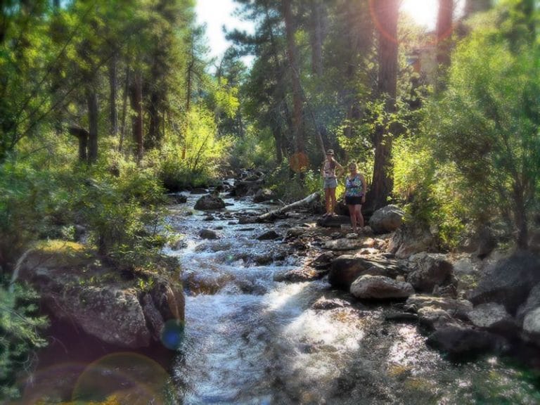 Take a Wyoming summer vacation to Eatons' Ranch (Wolf, WY)