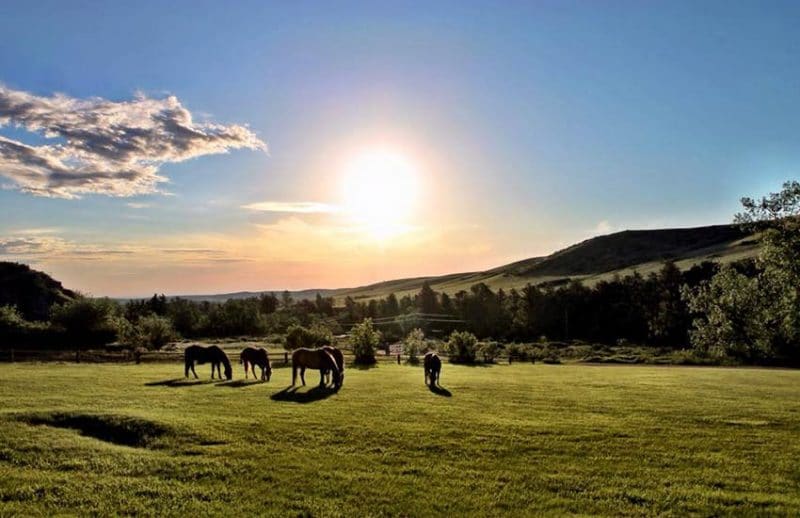 Eaton's Ranch, a Sheridan Wyoming Dude Ranch Destination