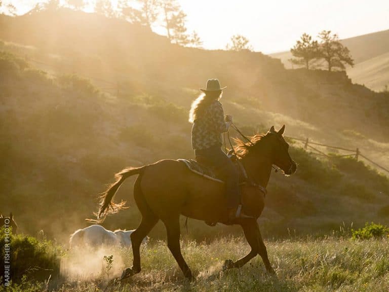 horseback riding in Wyoming at Eatons' Ranch near Sheridan