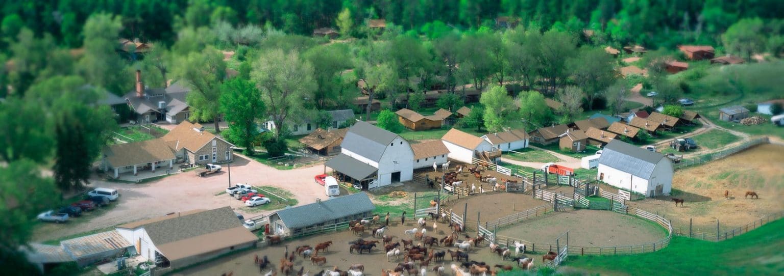 Eaton's Ranch, a Sheridan Wyoming Dude Ranch Destination